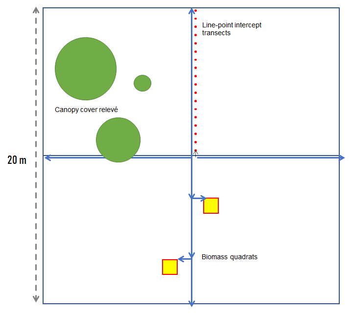 Chapter 2 Sampling Intensity | Essentials of Vegetation Data